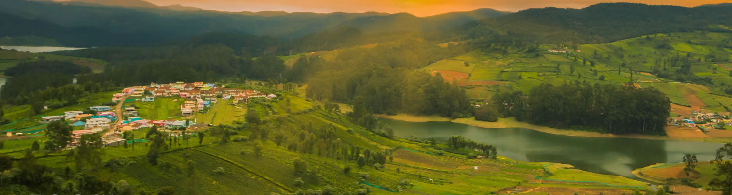 Index of /assets/images/